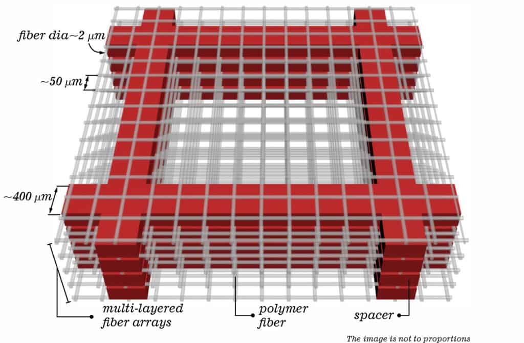 CytoNest Unveils Edible 3D Scaffold for Cultivated Meat & Seafood ...