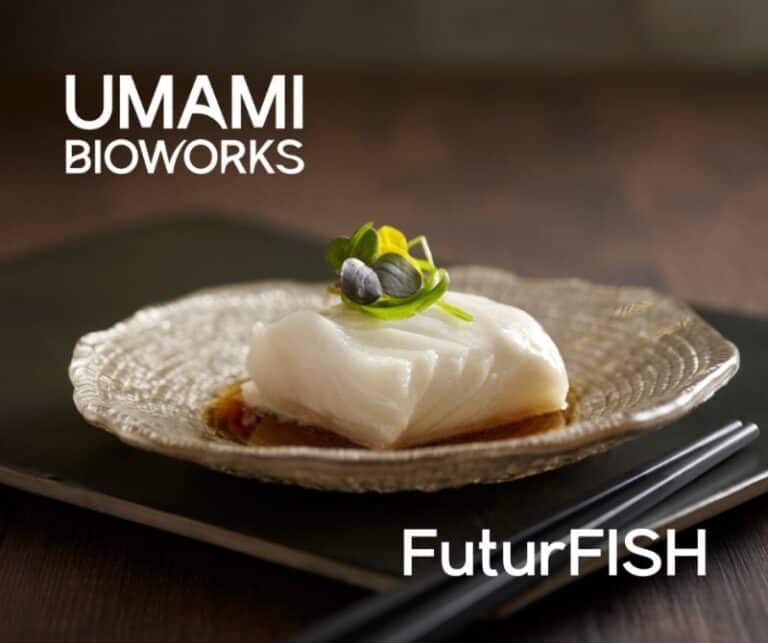 UMAMI Bioworks to Establish South Korea’s First Cultivated Seafood ...