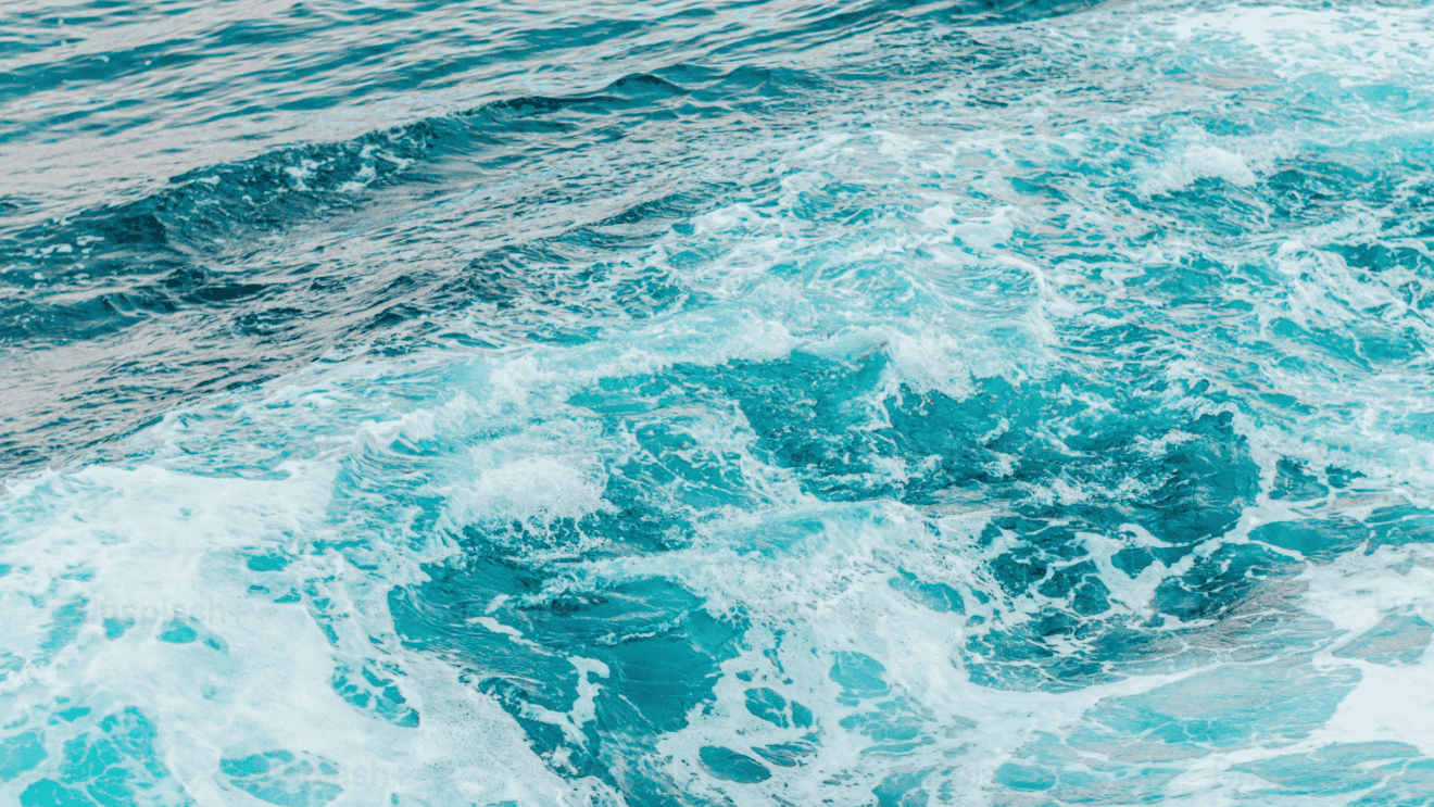 UMAMI Bioworks and Steakholder Foods Successfully Scale 3D-Printed ...