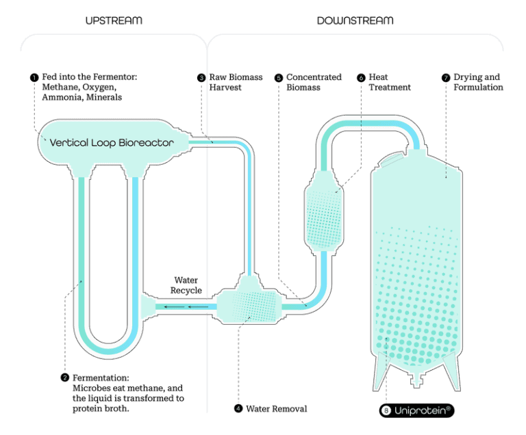 Advanced Bioreactor Developer Unibio Unveils Refreshed Branding ... Advanced Bioreactor Developer Unibio Unveils Refreshed Branding ...