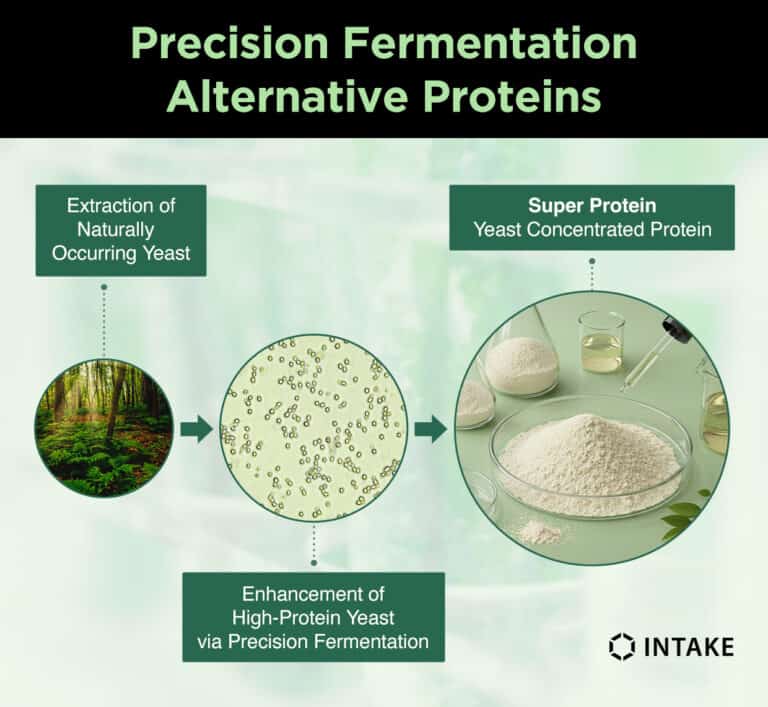 South Korea's INTAKE Secures $9.2M for Alt Proteins Made With Yeast-Based Precision Fermentation ...
