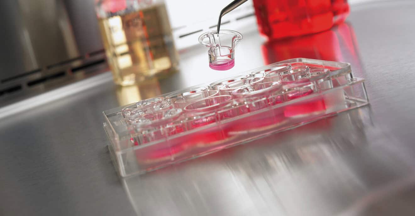 Corning Moves into Cultivated Meat with Edible Microcarrier Patent ...