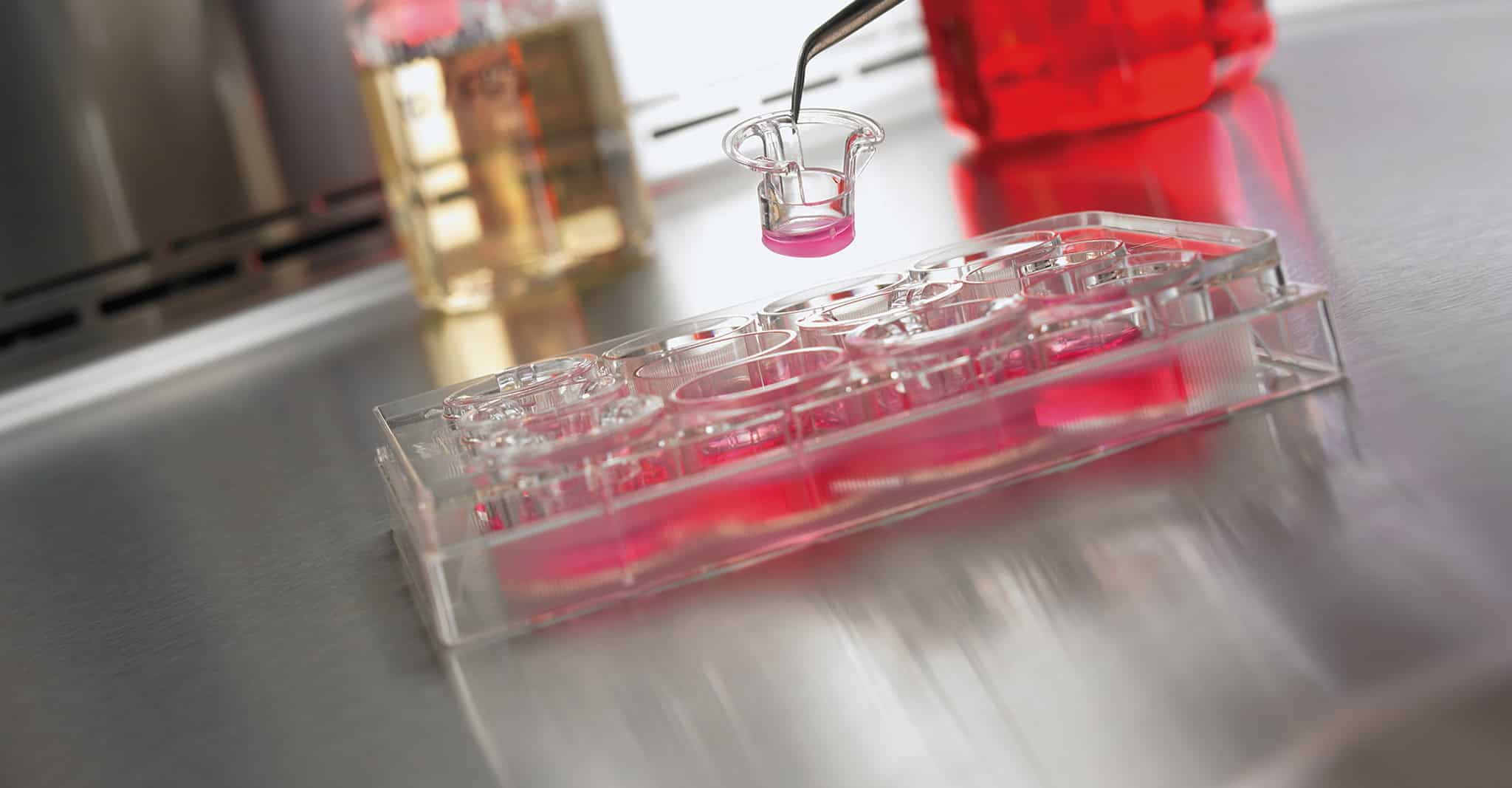 Corning Moves into Cultivated Meat with Edible Microcarrier Patent ...