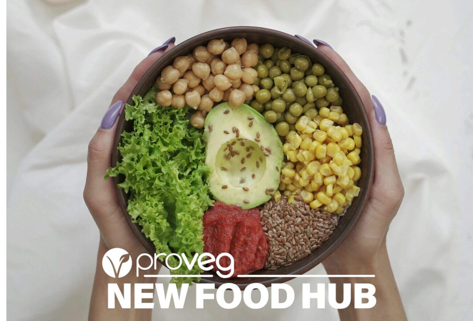 Die AVE GmbH relauncht ihren Onlineshop unter dem neuem Namen velivery ...