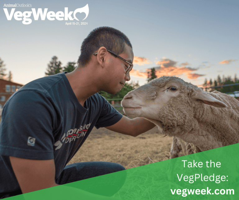 VegWeek 2024: Alicia Silverstone and Tig Notaro Lead Call for Vegan ...