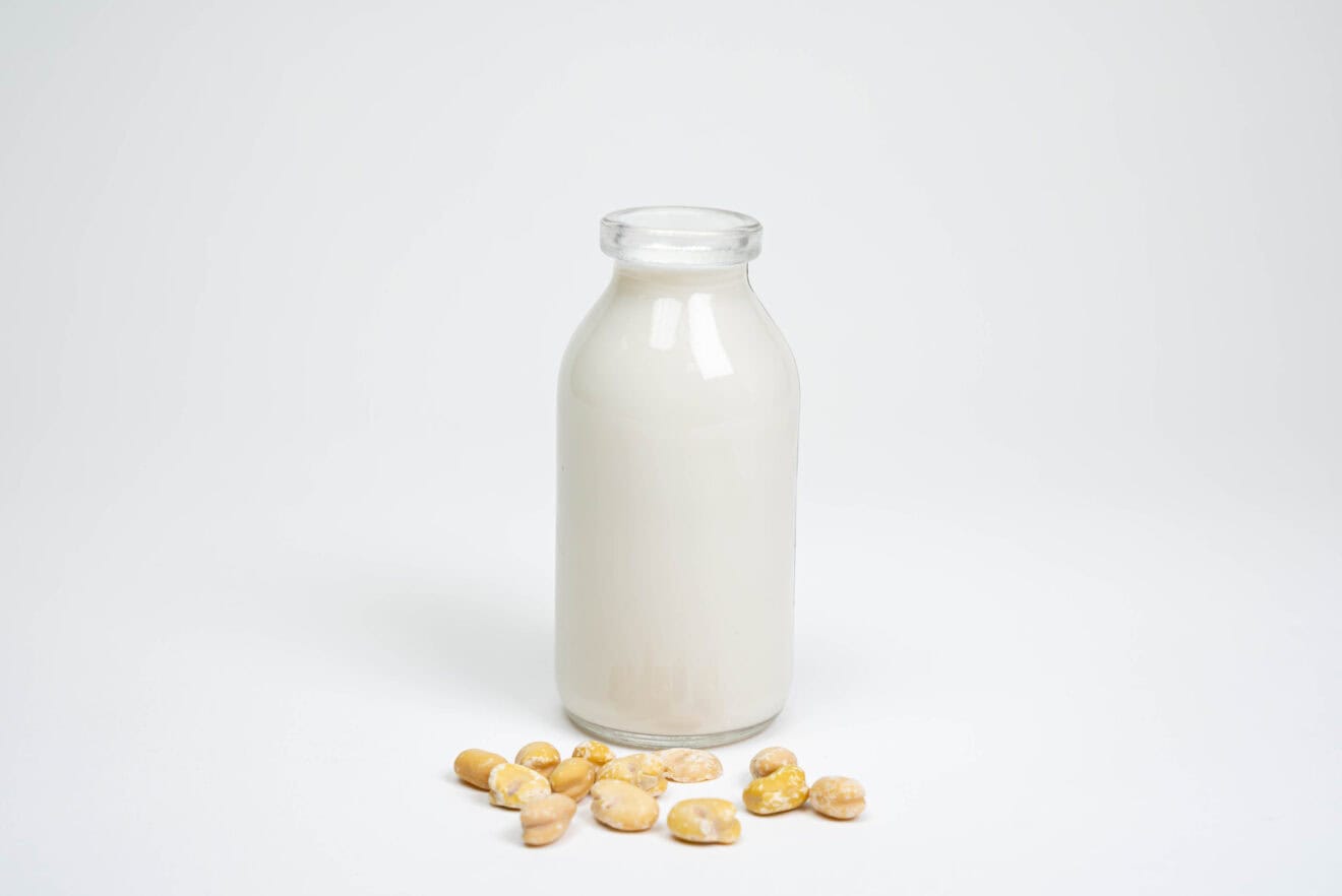 Roquette Launches its First Fava Bean Protein Isolate for Plant-Based ...