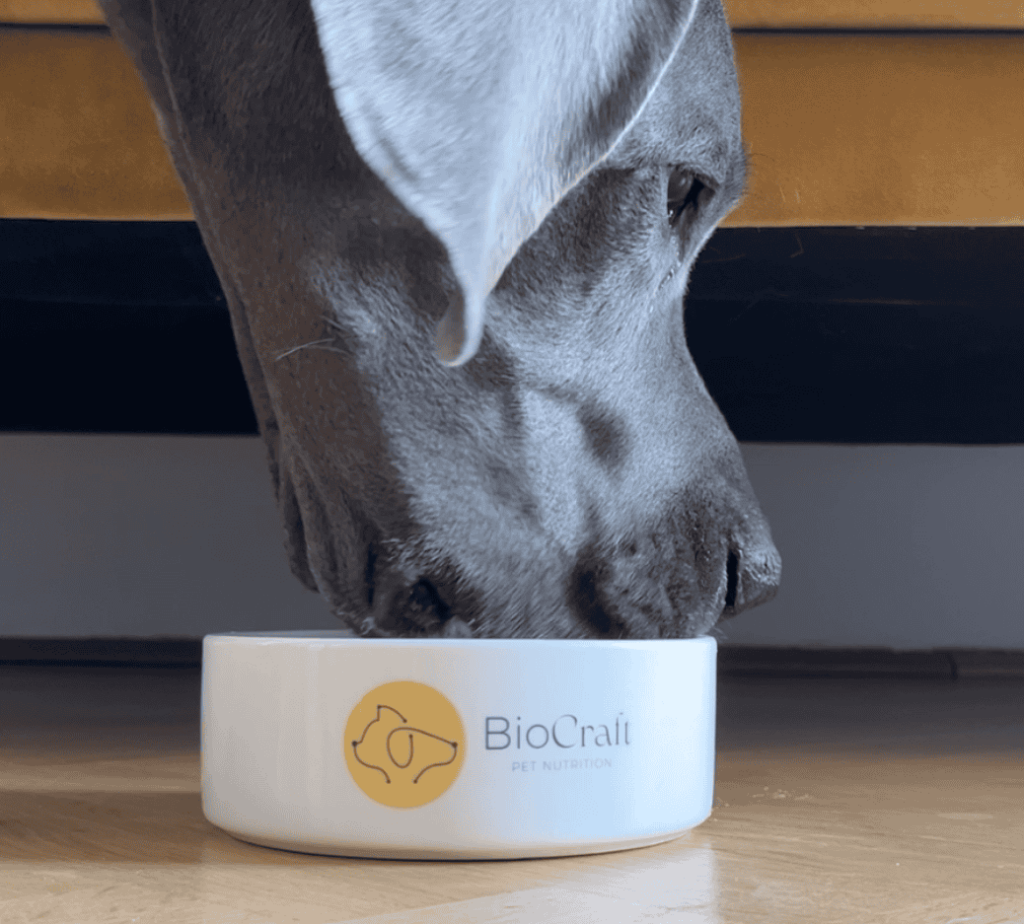 Analysis: Cultivated Ingredients by BioCraft Pet Nutrition Produce Far ...