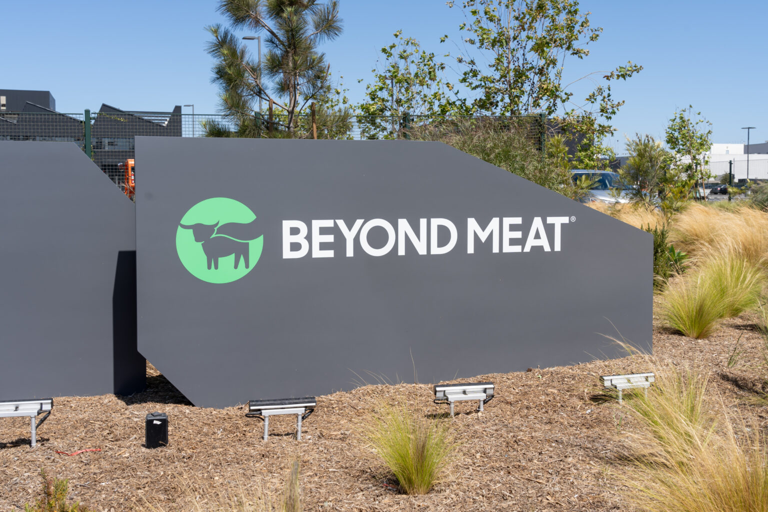 Beyond Meat Releases LCA Study, Highlights Environmental Benefits of ...