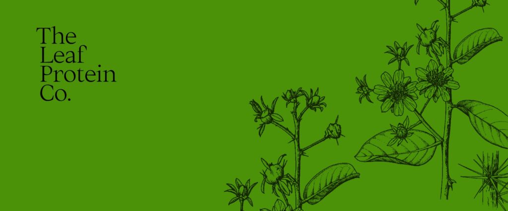 The Leaf Protein Co. Secures $850K to Unlock the Highly Nutritious ...
