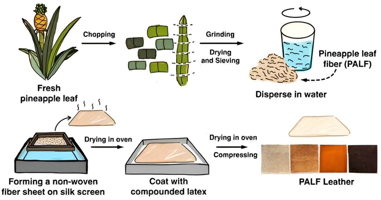 Researchers Develop Plastic-Free Pineapple-Based Leather Alternative ...