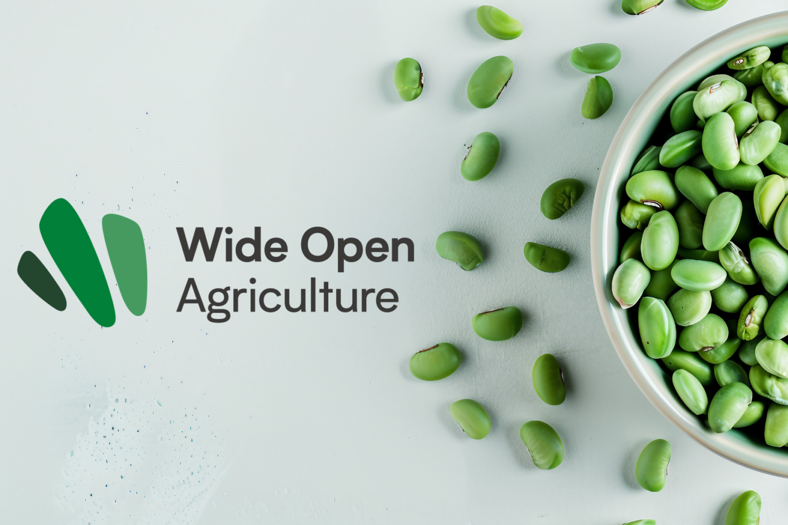 WOA Repurposes Proprietary Lupin Technology to Innovate Pea and Faba ...
