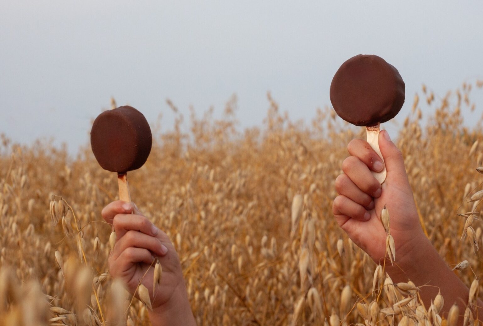 Kaiser Launches Oat-Based Frozen Desserts in Quebec, Plans National ...