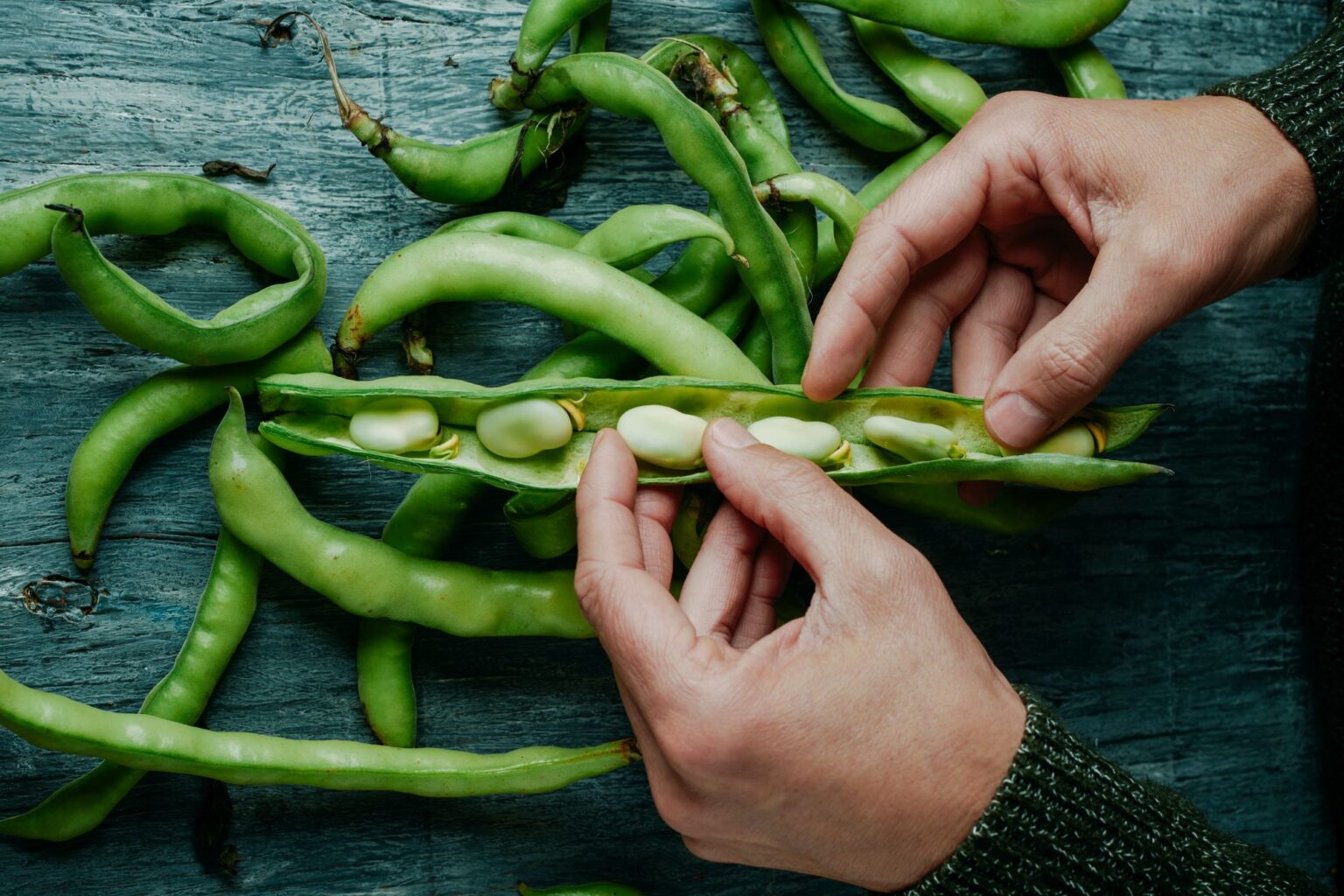 Canada Invests in Sustainable Faba Bean Protein Development to Expand ...