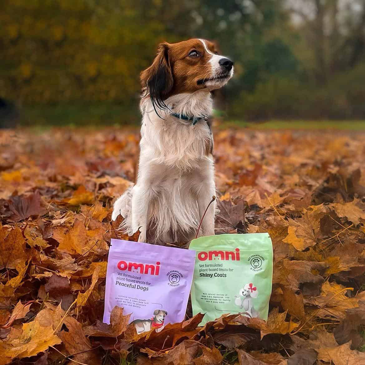 Vegan Pet Food Brand Omni Raises £11M After Year of Tenfold Growth ...