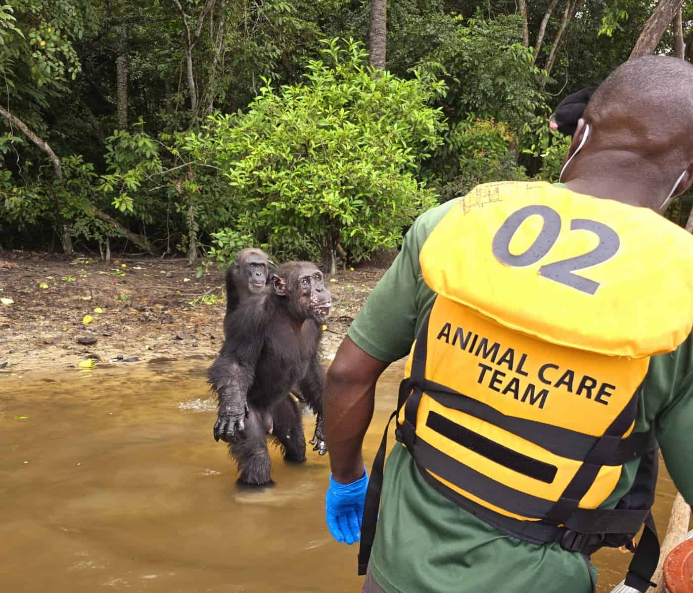 Humane Society Rebrands as Humane World for Animals, Launches Global ...