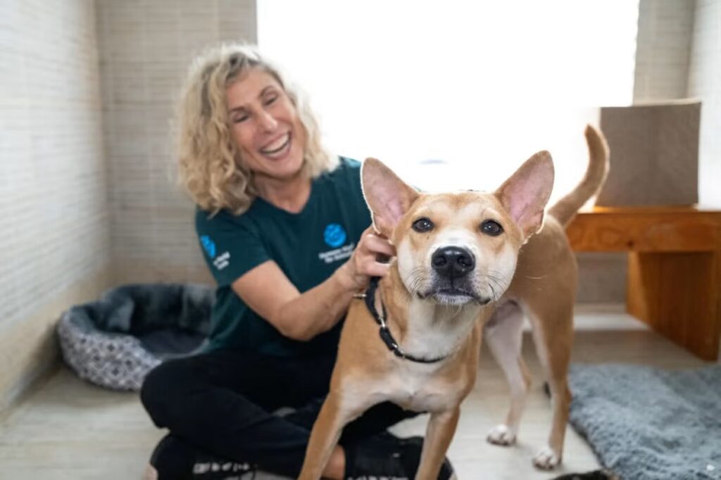 Humane Society Rebrands as Humane World for Animals, Launches Global ...