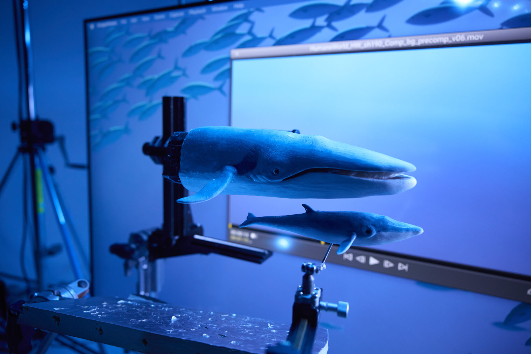 Humane Society Rebrands as Humane World for Animals, Launches Global ...