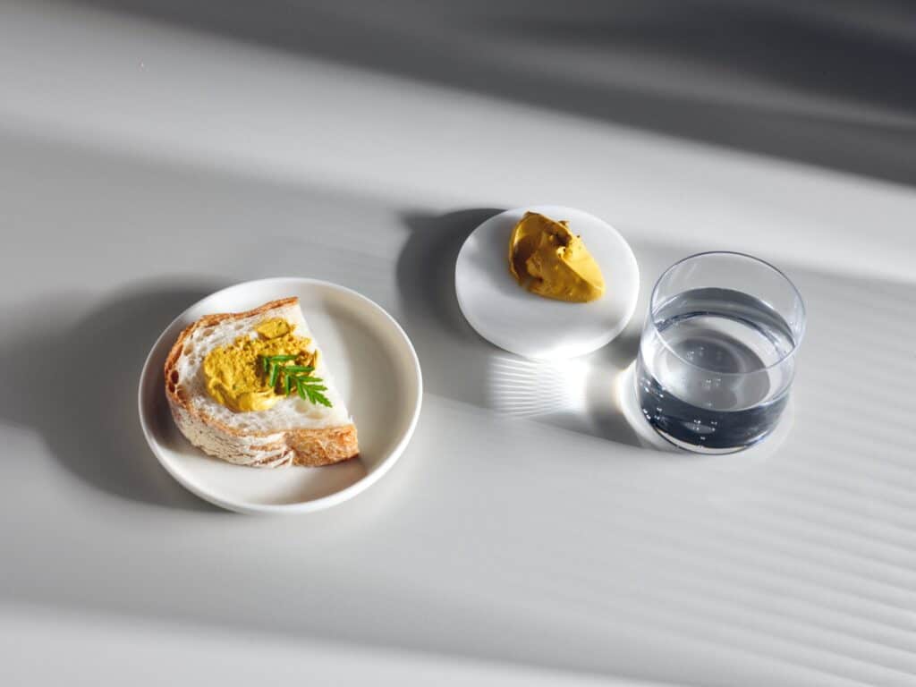 Solar Foods Signs MoUs Regarding Commercialization of 6,000 Tonnes of ...