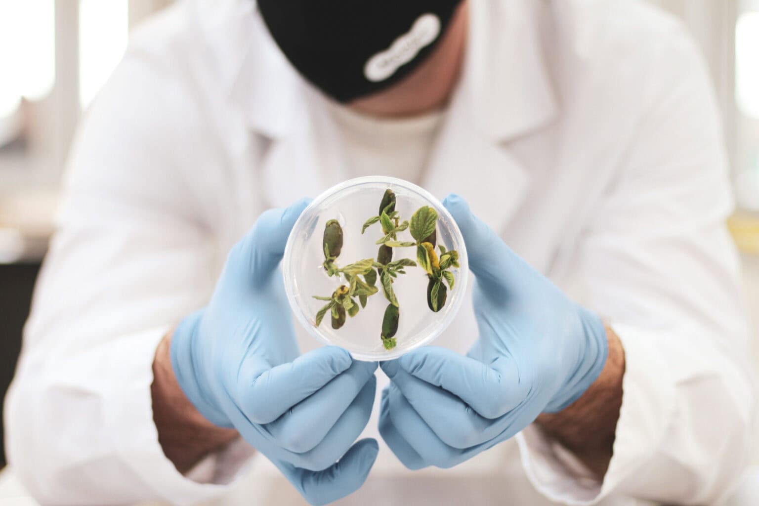 Moolec Science Merges with Bioceres Group to Scale Molecular Farming Platform - vegconomist ...