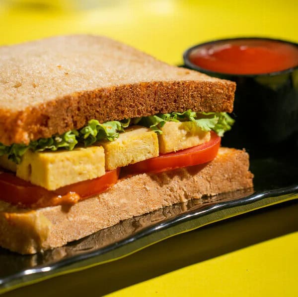 India's PROT Prepares Commercial Rollout of Shelf-Stable Plant Protein ...