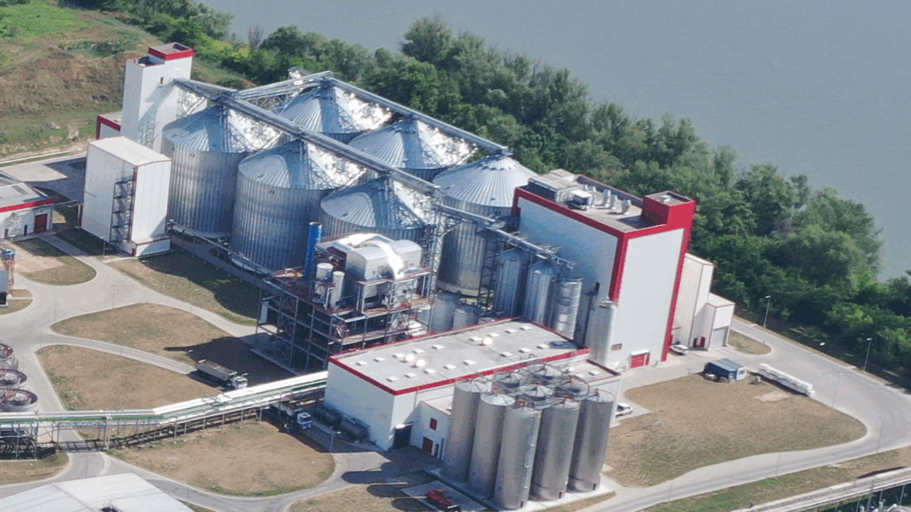 Op Ed: Declan Rooney – Barley: The Ancient Grain Optimised for Modern ...