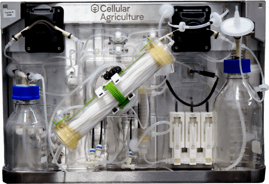 Cellular Agriculture Ltd Strengthens Industry Position with New ...
