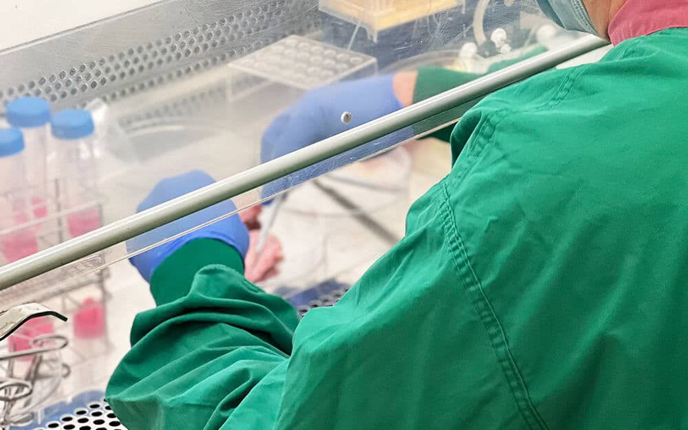 MyriaMeat Develops Hybrid Cultivated Meat Sausages in Project Funded by ...