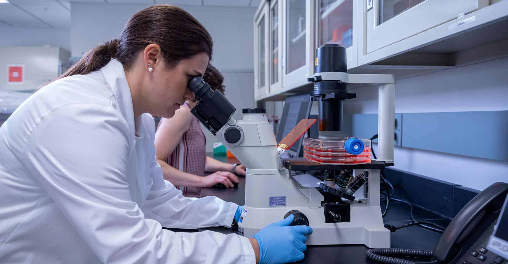 Corning News - vegconomist - the vegan business magazine