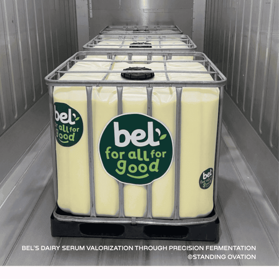 Standing Ovation and Bel Group Achieve Milestone with Industrial-Scale ...