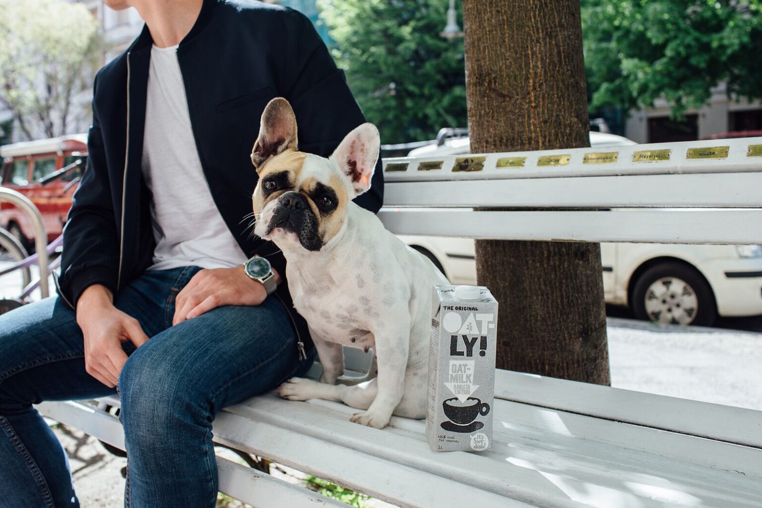 Oatly Barista Edition Now Made With British-Grown Oats, as Company Achieves First Quarter of ...
