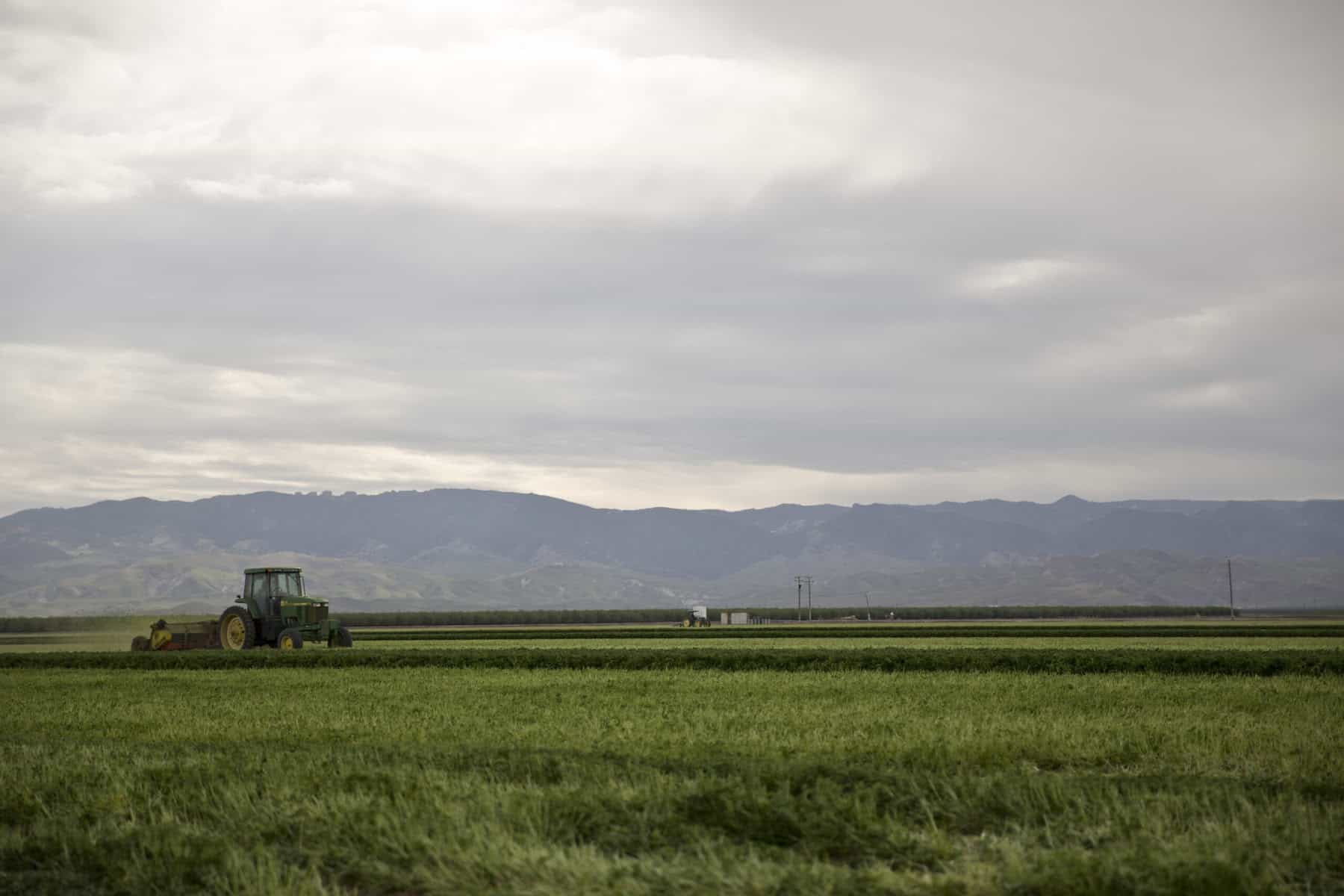 Sensient Agricultural Ingredients News - vegconomist - the vegan ...