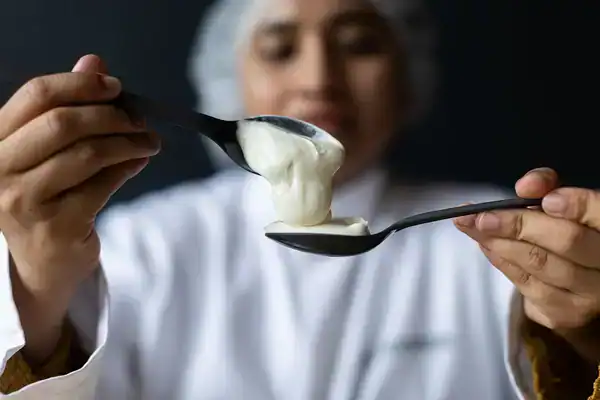 Noma and Novonesis Partner to Develop Biosolution-Based Foods Through ...