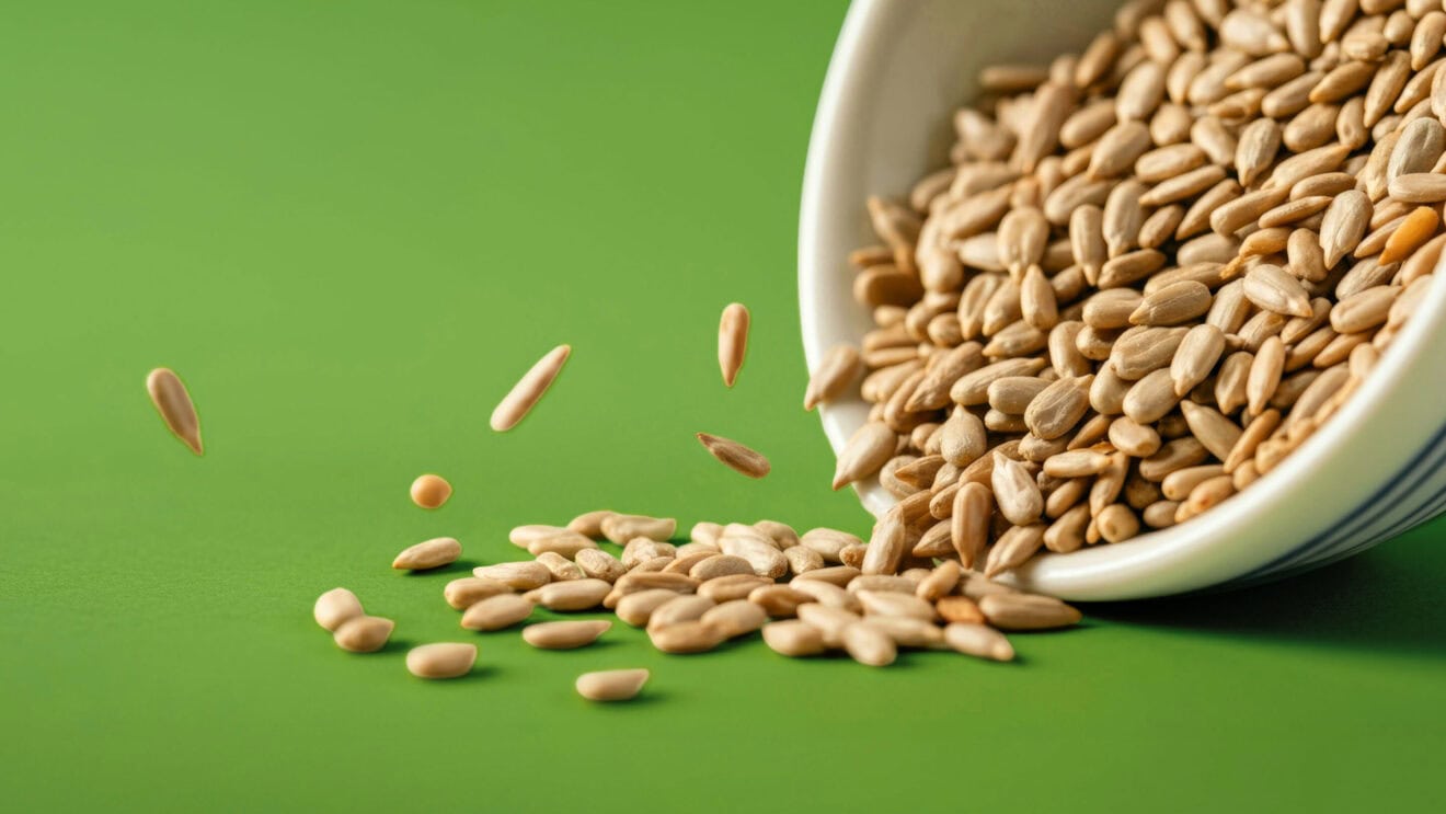 Tetra Pak Launches Sunflower Protein to Meet Rising Demand for Plant ...