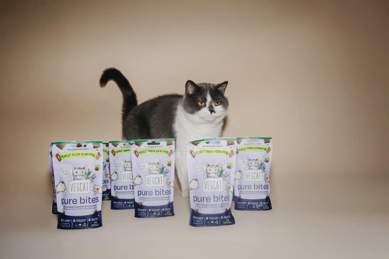 VEGDOG Expands Into Cat Food With Snacks Made From Fermented Protein ...