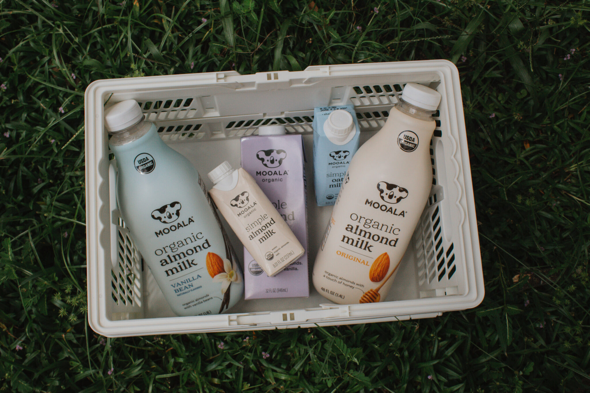 Plant-Based Milk Brand Mooala Rolls Out Refreshed Packaging ...