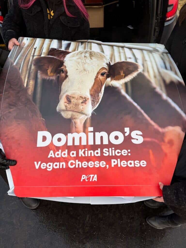 PETA Pauses "Vegan Cheese, Please!" Campaign Targeted at Domino's as ...