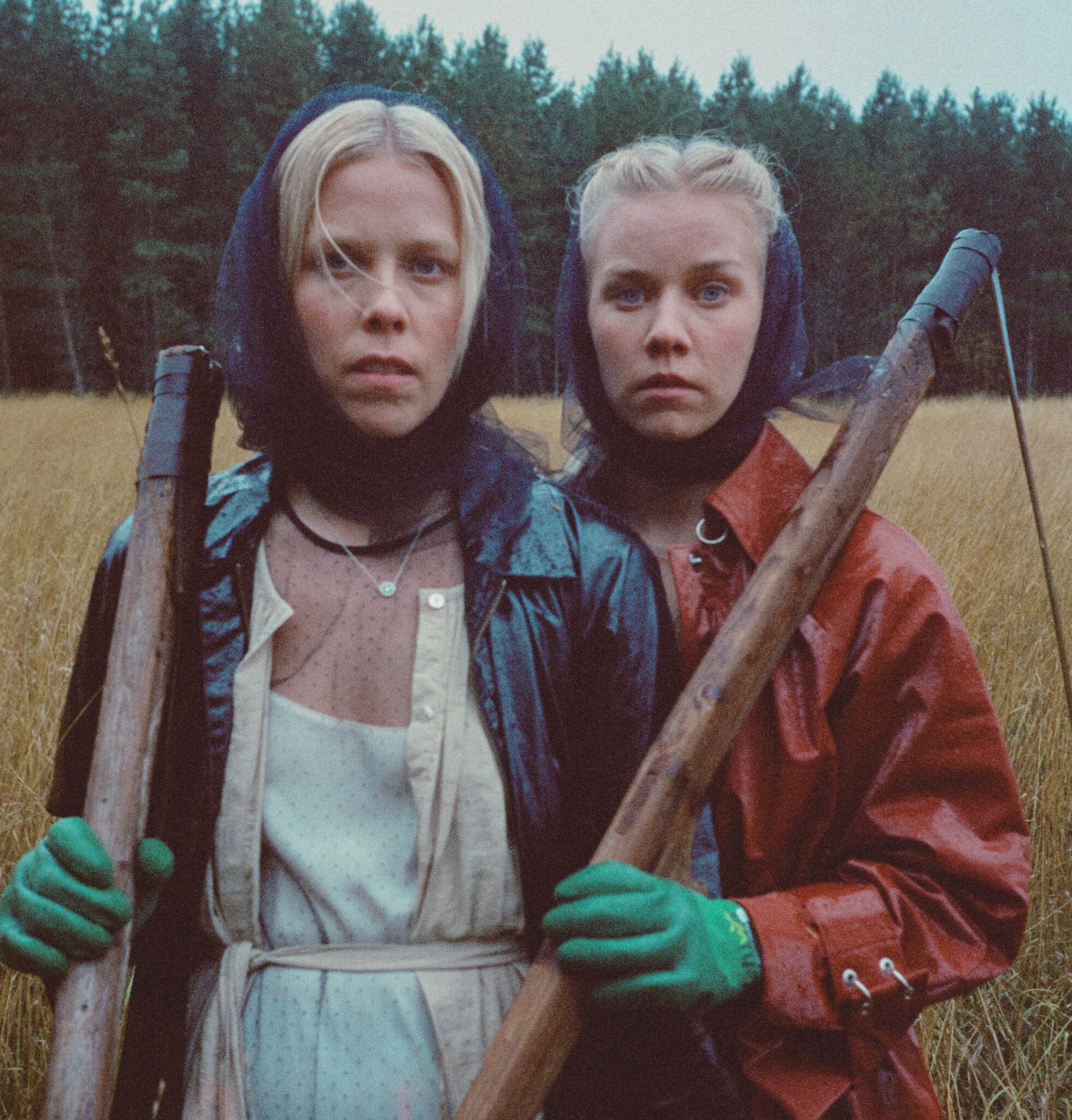 Finland's Mö Foods Secures €2.4M to Scale Oat-Based Cheese Alternatives ...