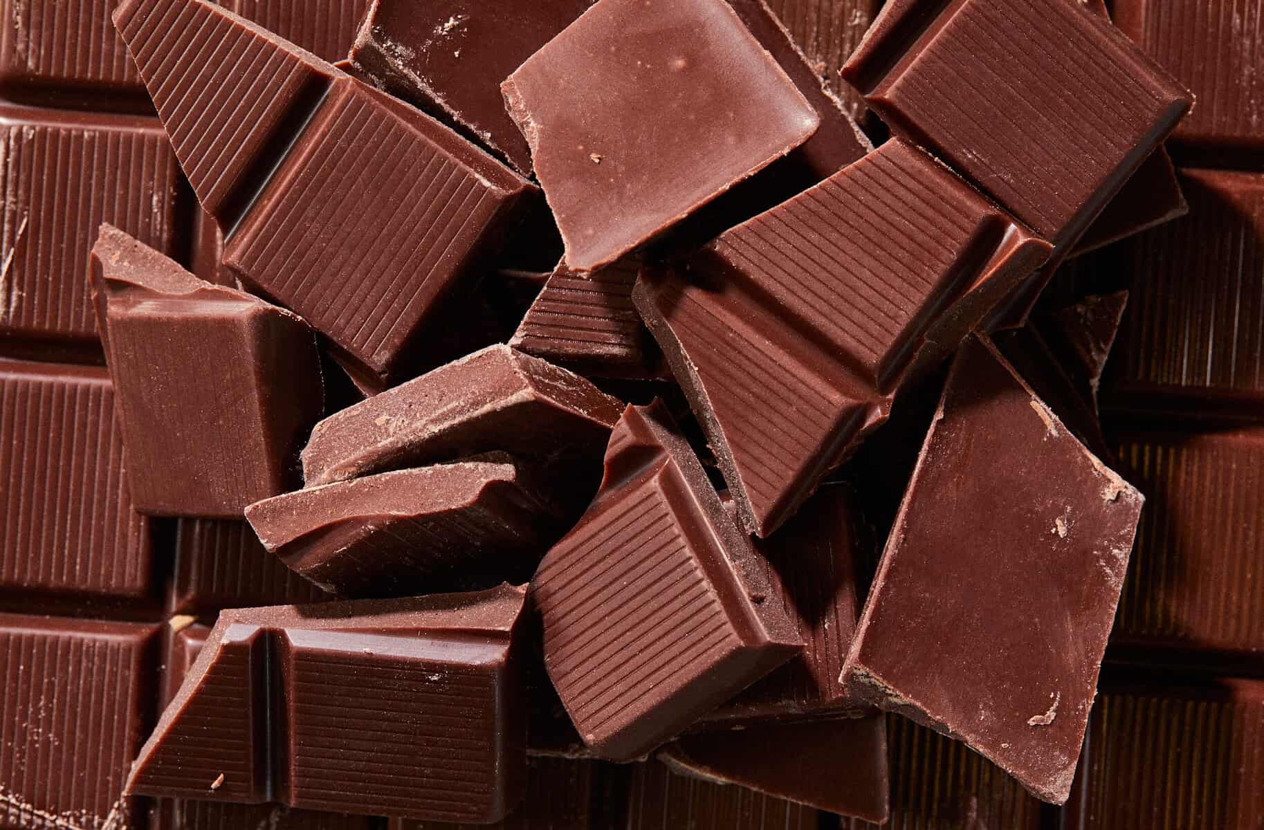 Cargill and Voyage Foods Launch Cocoa-Free Chocolate Alternative in ...