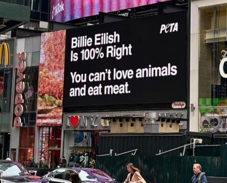 Billie Eilish's "Eating Meat Is Inherently Wrong" Claim Gets a Times ...