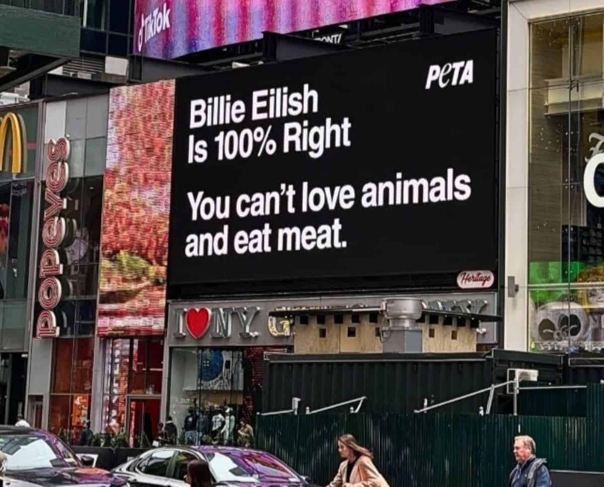 PETA News - vegconomist - the vegan business magazine