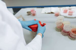 EU Opens Public Consultation on Biotech Act II, Targeting Industrial ...