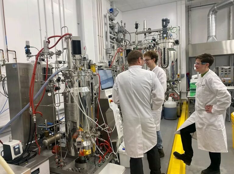 Sun Bear Biofuture Completes £25,000 Pilot Plant for Yeast-Derived ...